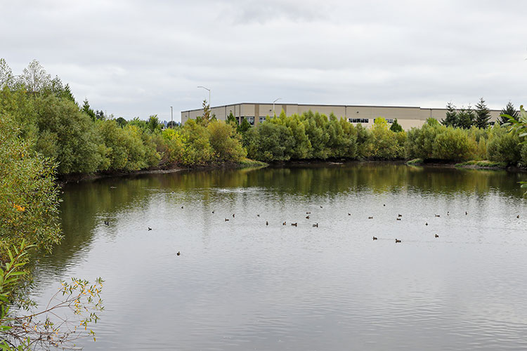 Rainier Audubon Area Birding Locations | RAINIER AUDUBON SOCIETY